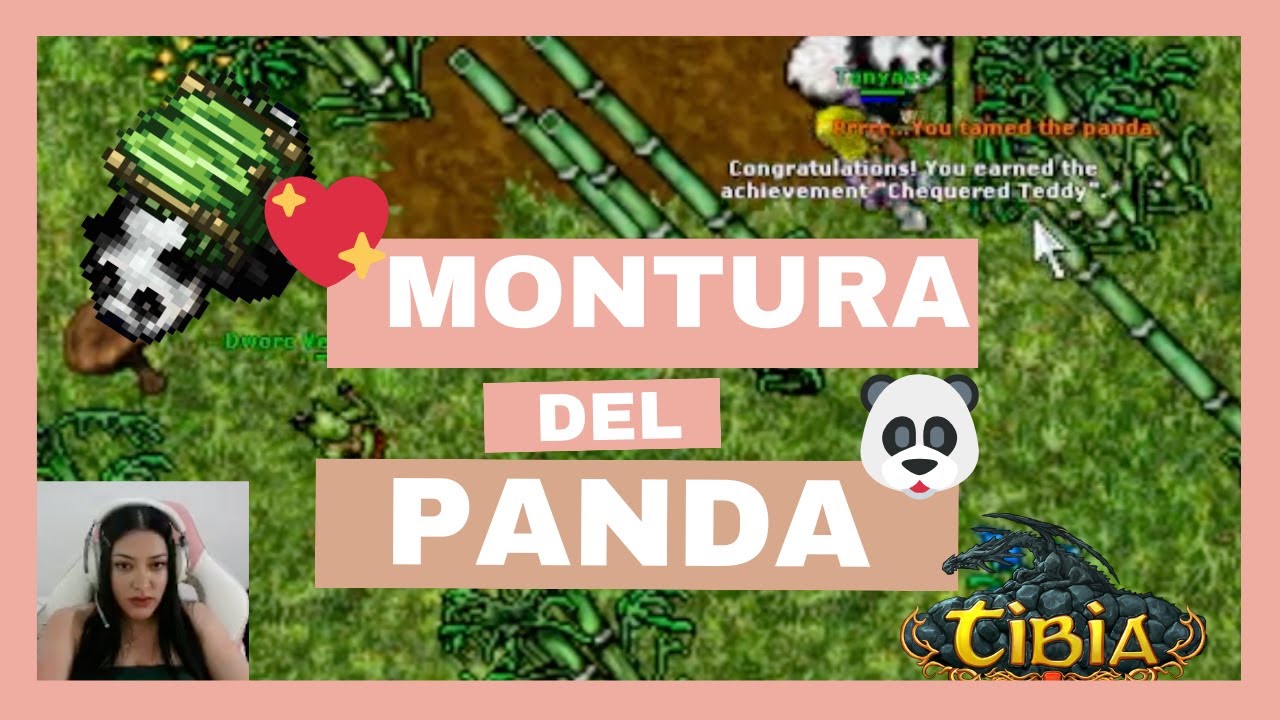 Tibia | Cómo obtener la montura del Panda? 🐼| Montura | Tamed Panda | Achievement "Chequered ...