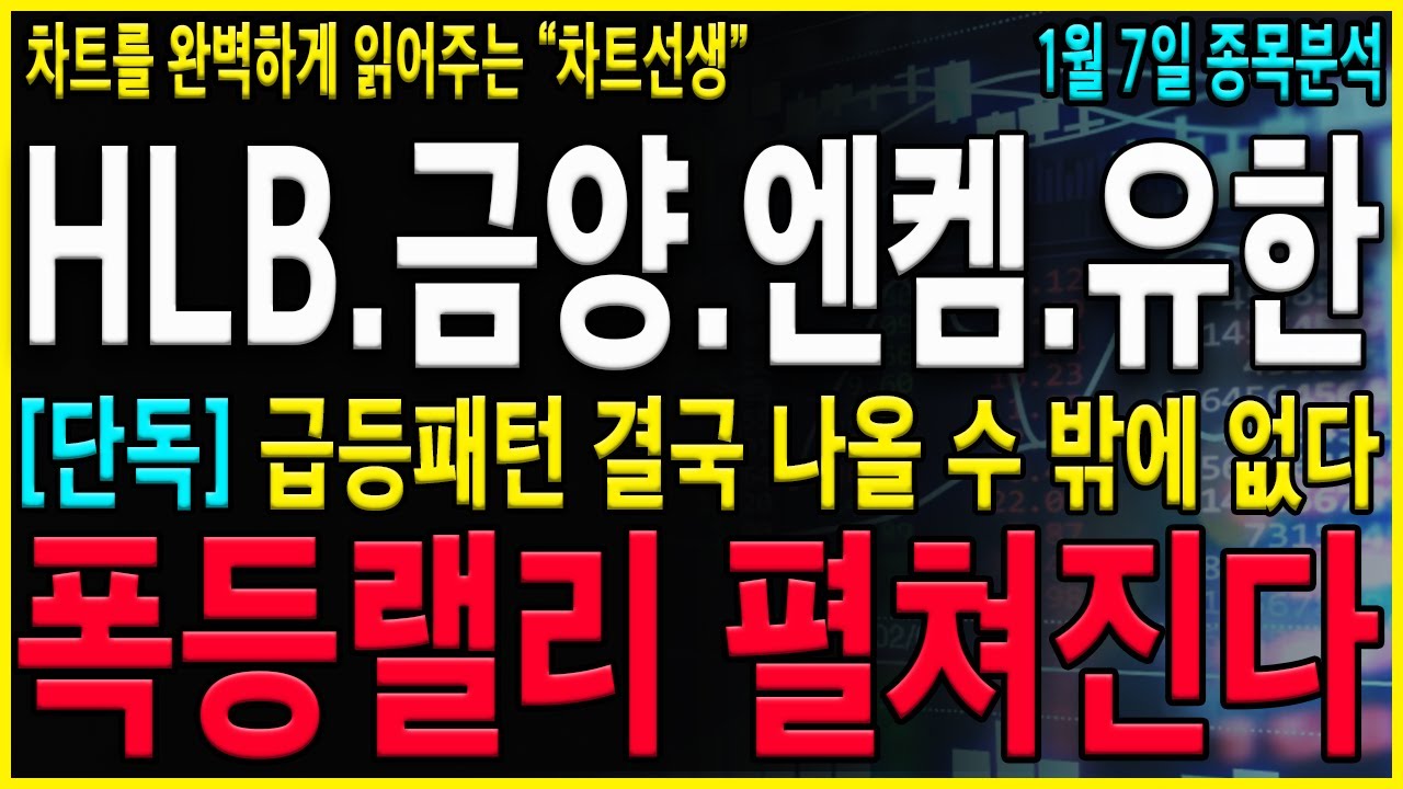 Hlb 금양 엔켐 유한양행 주가 전망 긴급 급등나올구간 정확하게 확인하고 가세요 반등나오는 타이밍을 잡으서 대응전략