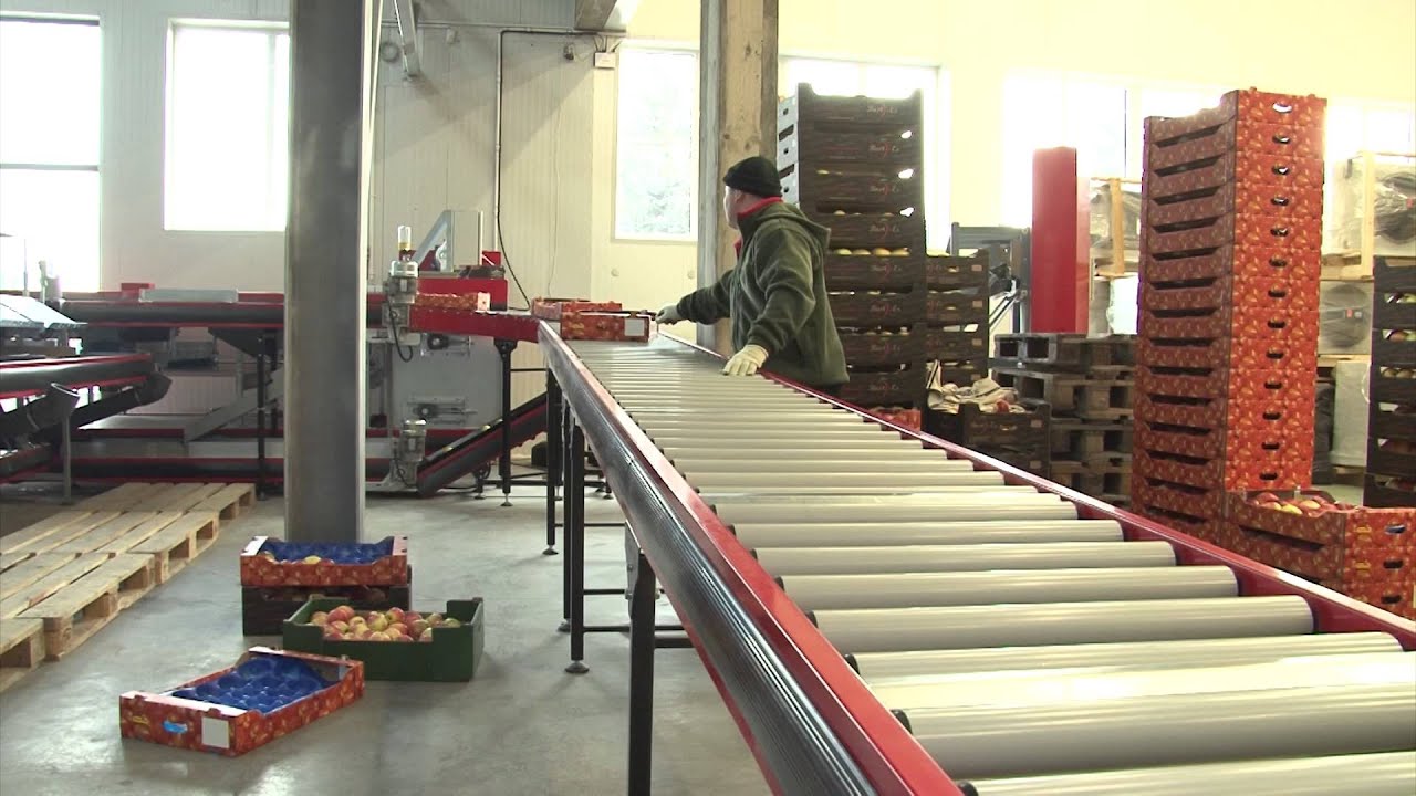 Full cartons transportation-roller conveyor and belt conveyor - YouTube
