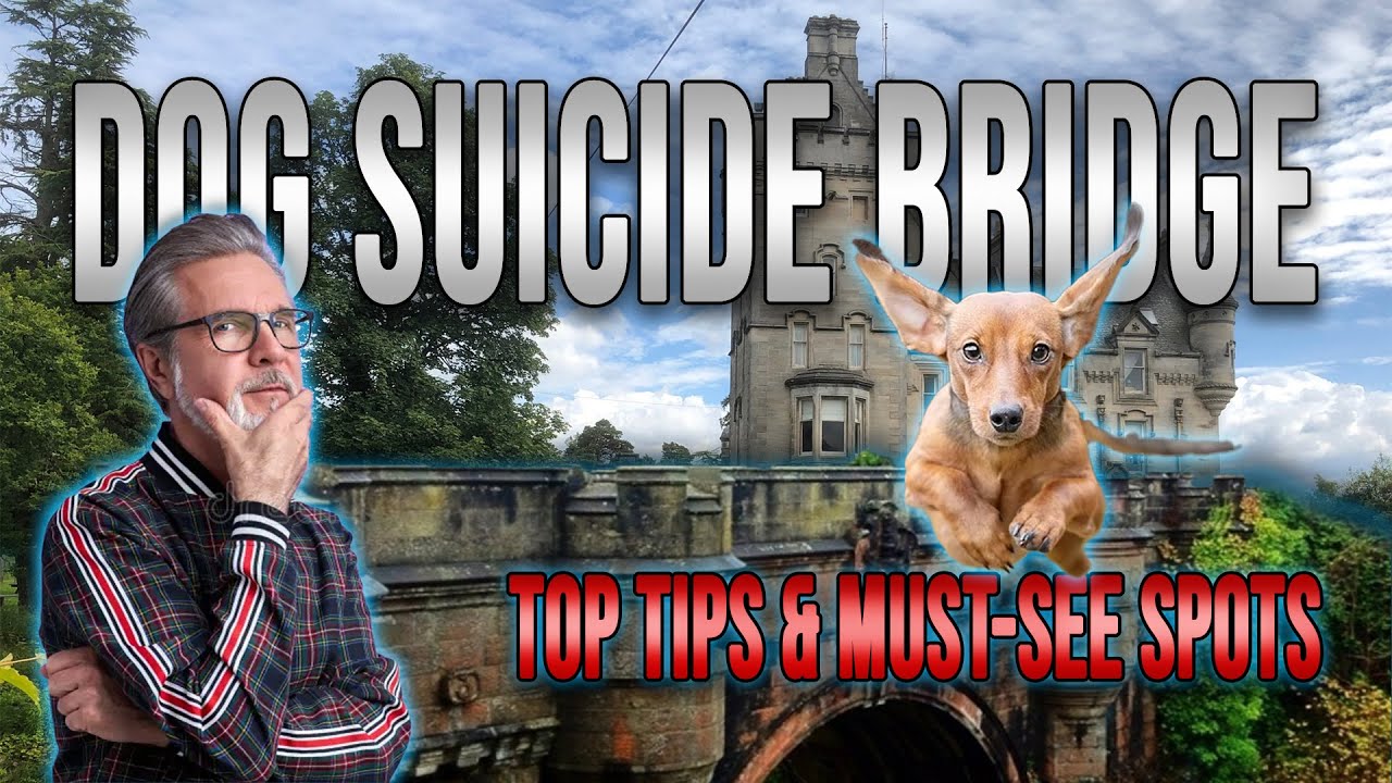 Unveiling the Mystery of Dog Suicide Bridge - Must-Know Tips & Top ...