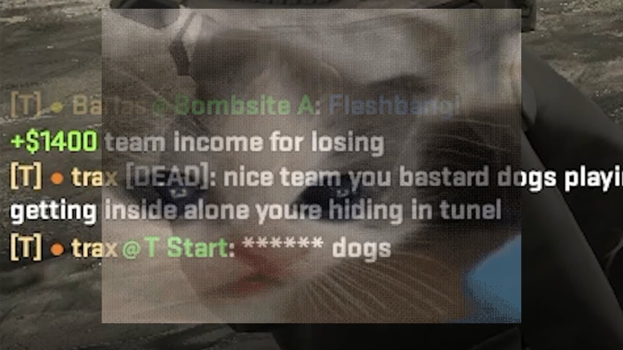 average cs2 experience - YouTube