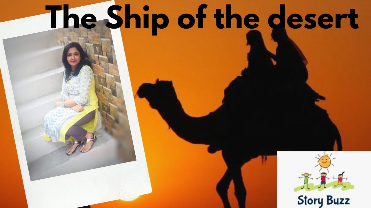 Camels - The Ship of The Desert | Story Buzz - YouTube