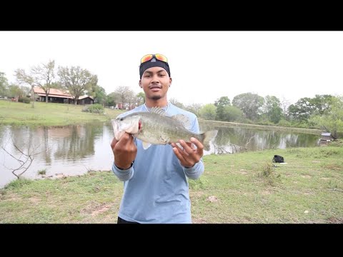 Early morning fishing (first video) - YouTube