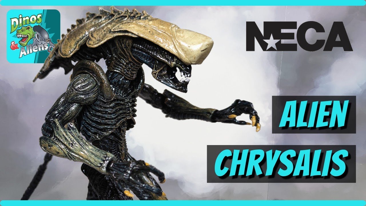Chrysalis Alien | NECA | Alien VS Predator Arcade | Unboxing Reseña ...