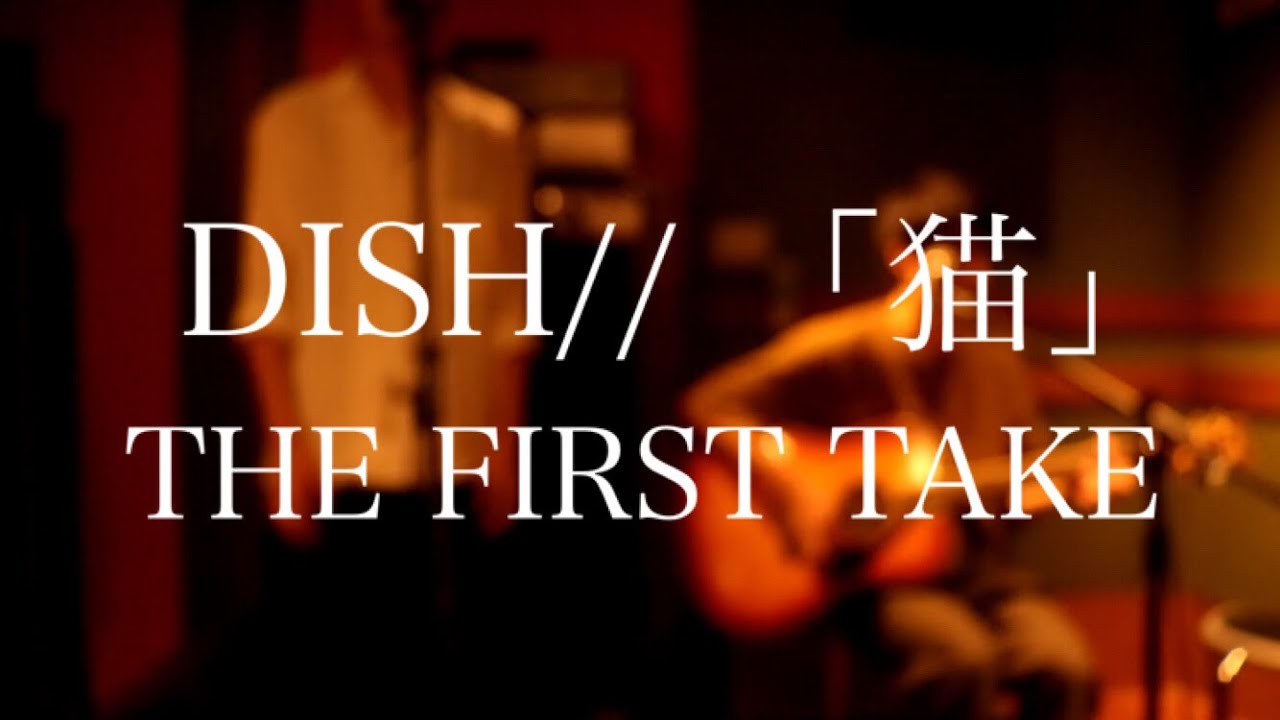 DISH//「猫」THE FIRST TAKE COVER - YouTube