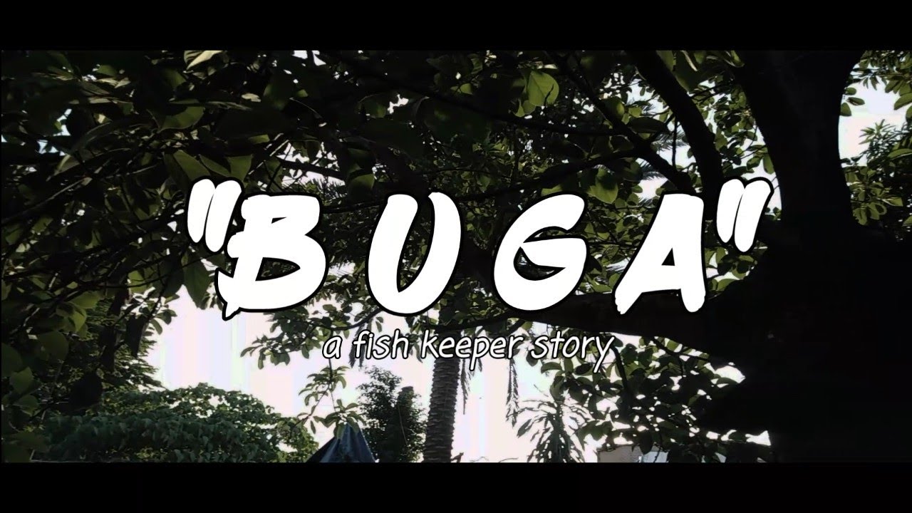 "BUGA" silent short film | a fish keeper story - YouTube