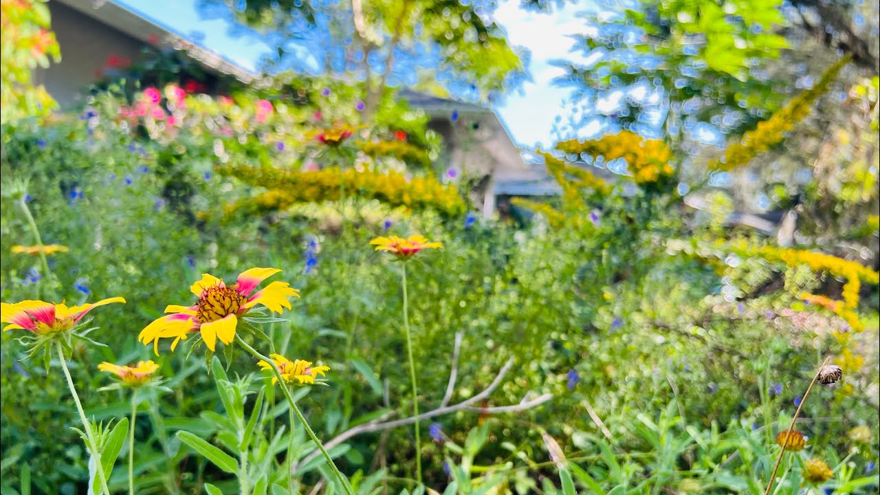 Florida Fall Garden Tour: The Perfect Time to Get in the Fall Spirit ...