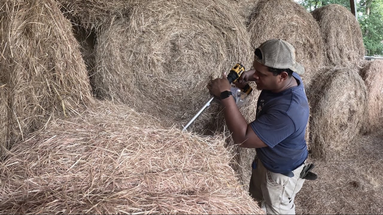 Is Our Hay Any Good? How to Test Hay - YouTube