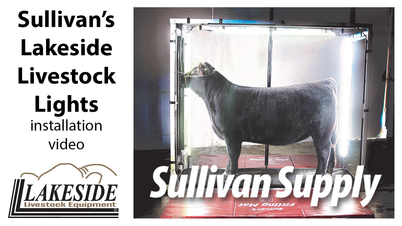 How To Install Sullivan's Lakeside Lights - YouTube