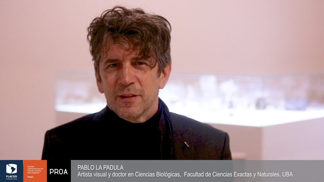 Pablo La Padula sobre Calder - YouTube
