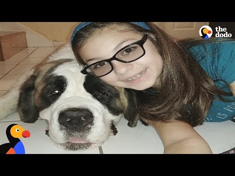 Girl Losing Vision Was Lonely Until She Met This Dog | The Dodo