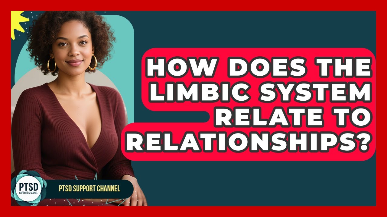 How Does The Limbic System Relate To Relationships? - PTSD Support ...