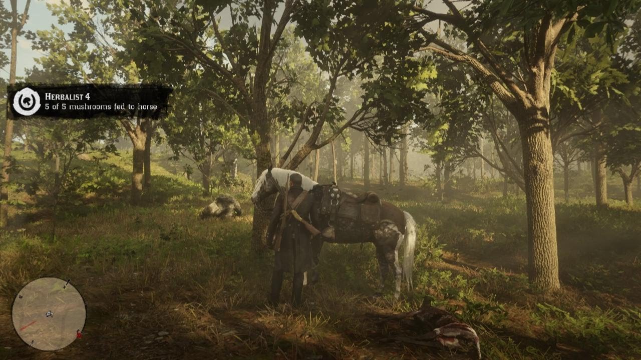 RDR2 Herbalist Challenge 4 - YouTube