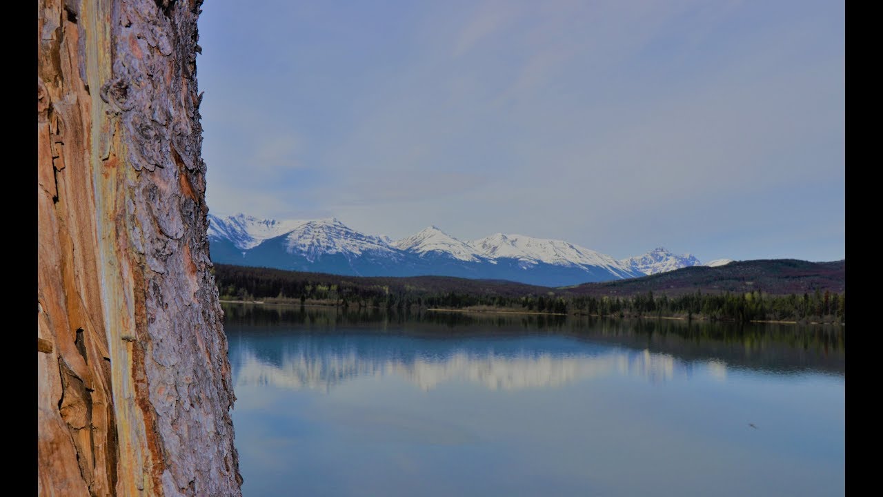 Pyramid Island- Jasper- Alberta- Canada - YouTube