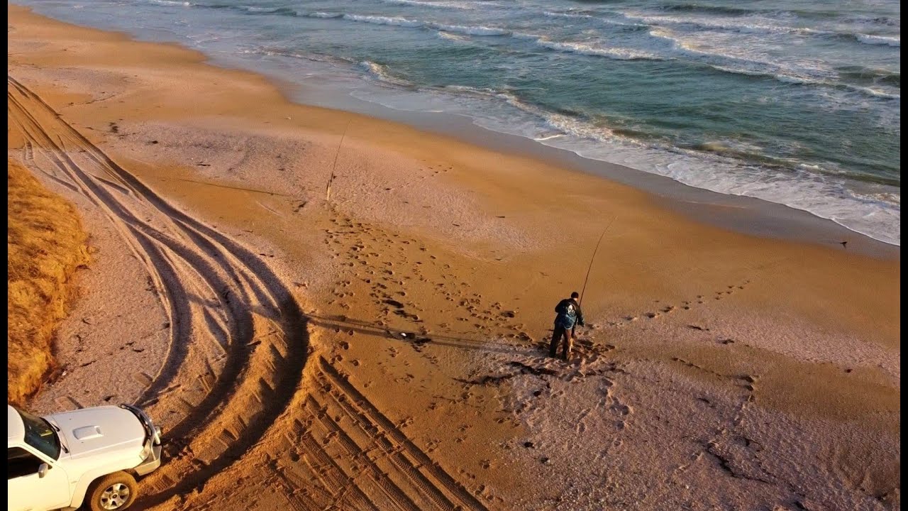 MULLOWAY ! BAIT CHALLENGE ! PILCHARD VS SQUID WHICH CATCHES MORE FISH ...