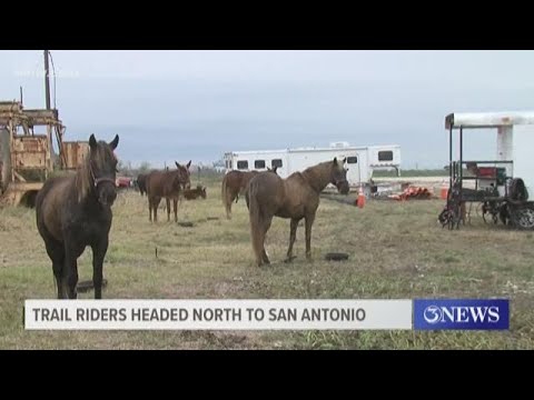 Riders prepare for 61st annual South Texas Trail Ride - YouTube