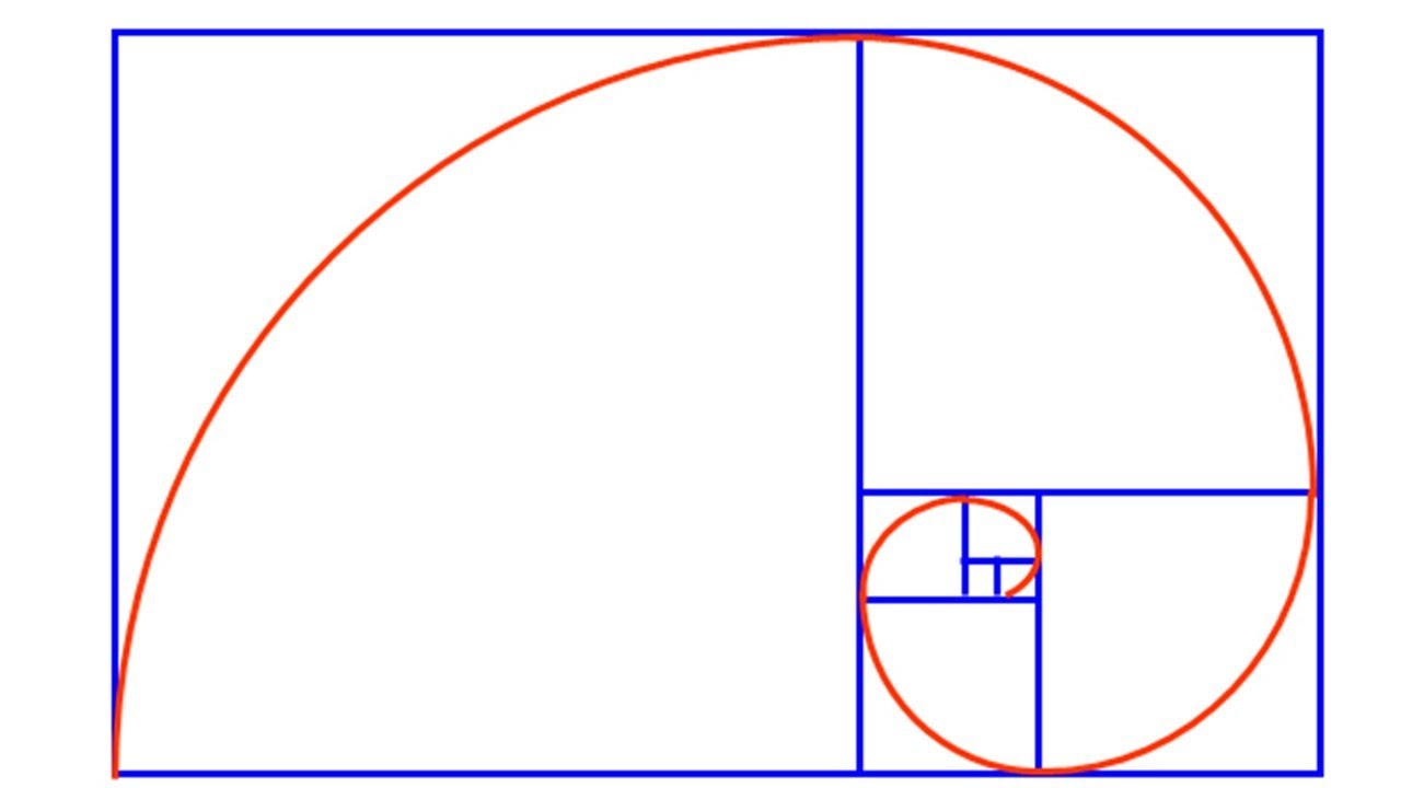 ¿Qué es el NÚMERO AUREO? - YouTube