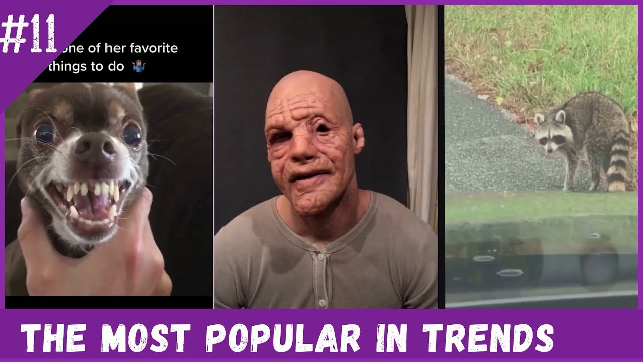 US Tik Tok Trends #11 😎 The Best TikTok Compilations - YouTube