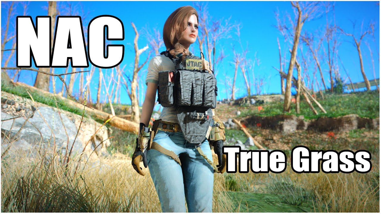 True Grass and NAC MOD SHOWCASE | Fallout 4 Next-Gen Update Mods 2024 ...