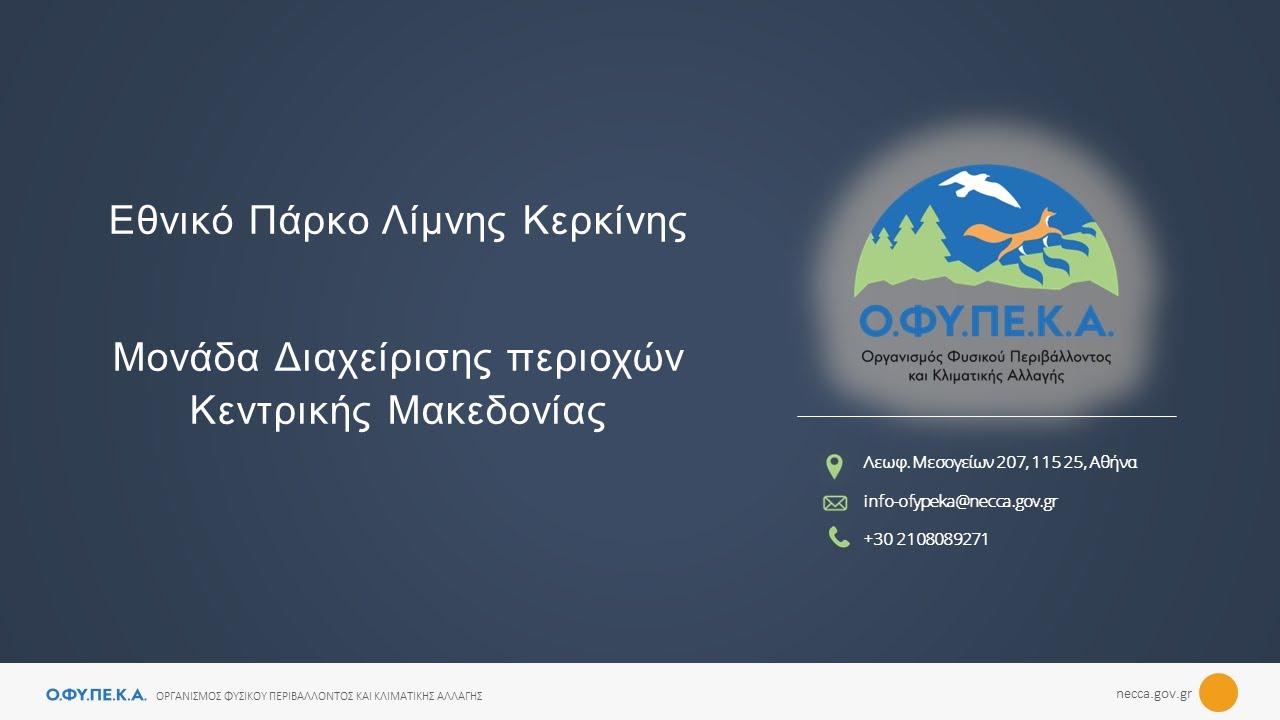 ΤΜΗΜΑ ΠΑΡΑΚΟΛΟΥΘΗΣΗΣ_Ο.ΦΥ.ΠΕ.Κ.Α_ΠΑΡΑΡΤΗΜΑ ΚΕΡΚΙΝΗΣ_ ΜΕΤΑΦΟΡΑ ΕΙΚΟΝΑΣ ...