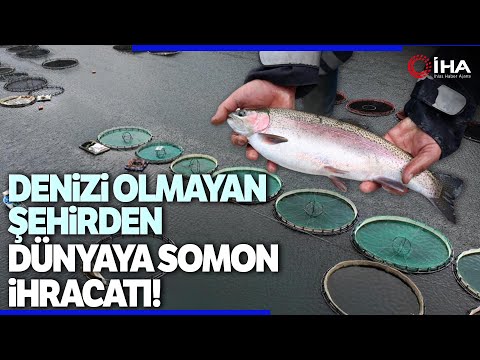 Baraj ve Göletler Şehri Gümüşhane Kültür Balıkçılığında Adından Söz Ettiriyor