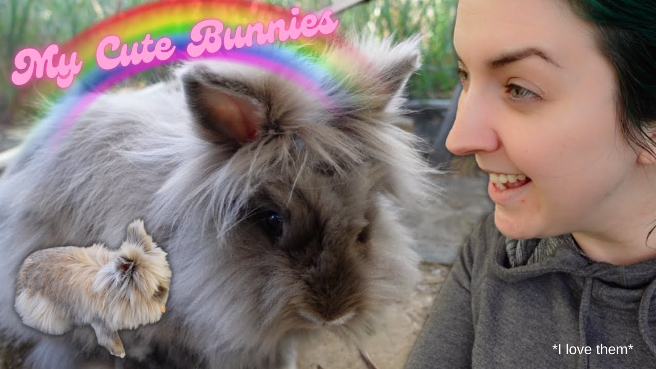 BUNNIES PLAYING | The Benefits of Having Pets When You're Autistic ...