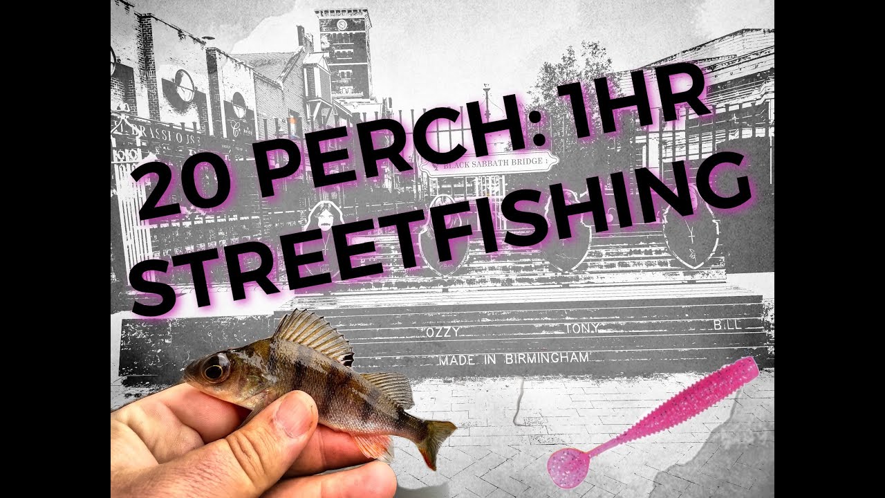 Lure Fishing for Perch in Birmingham, Second Session - YouTube