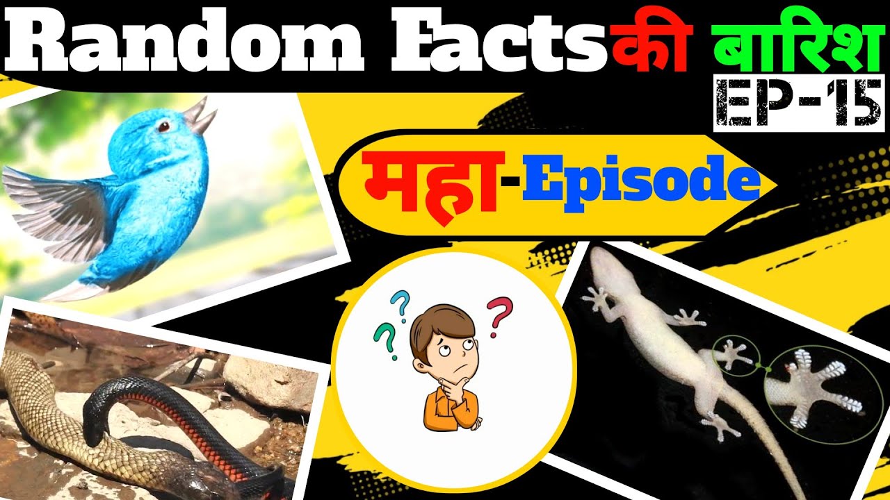 दिमाग को हिला देने वाले |😱| Amazing Random Facts In Hindi | Random ...
