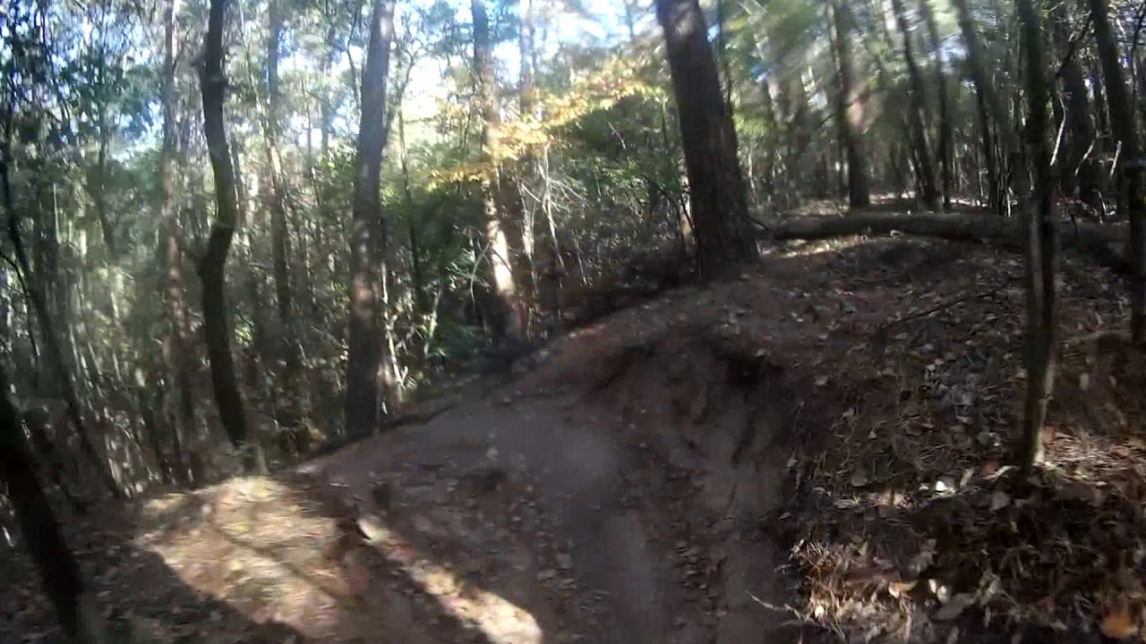 MTB Route Appelscha (Bosberg) - YouTube
