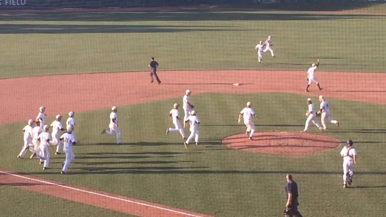 Saline baseball celebrates it's 5-3 win over Hartland in D1 semis - YouTube