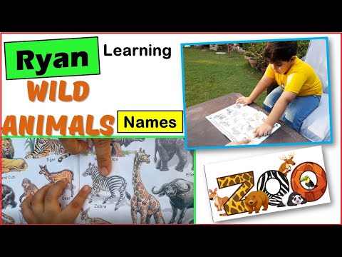 Ryan Learns Wild Animals Names For Kids || Educational Video - YouTube