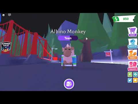 Adopt Me: Regular, Limited rare Sled - YouTube