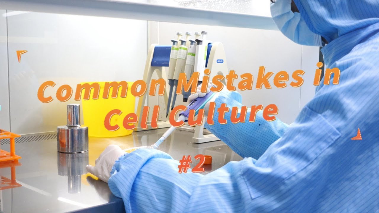 Common Mistakes in Cell Culture #2 - YouTube