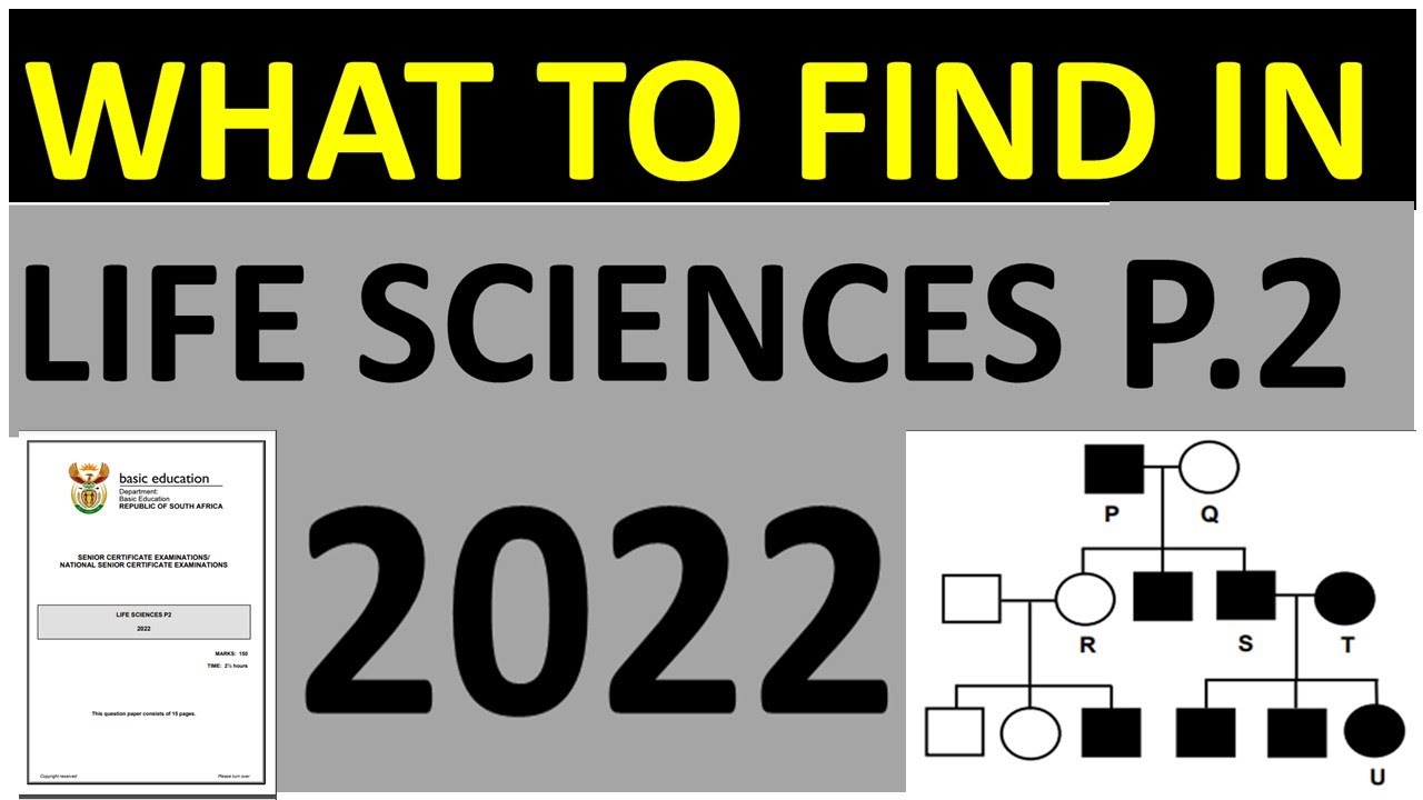 WHAT TO FIND IN P.2 LIFE SCIENCE 2022: .M.SAIDI - YouTube