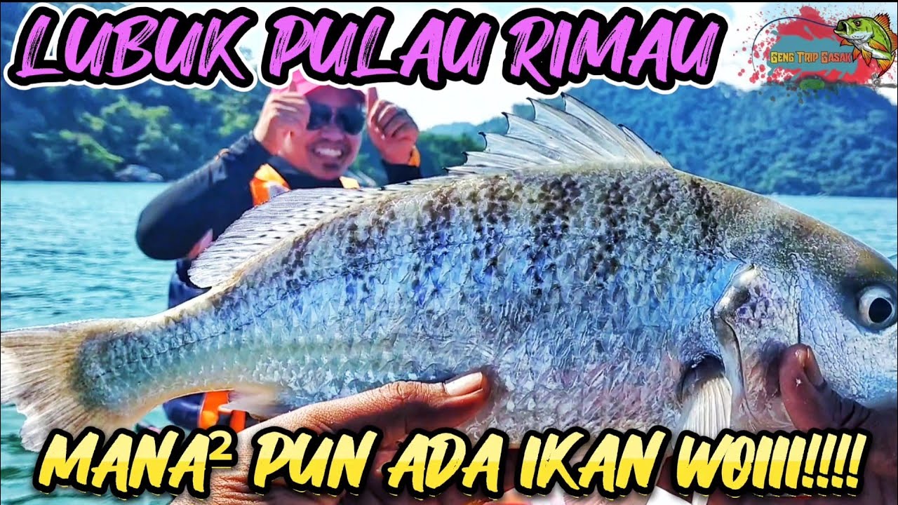 STRIKE BERTALU-TALU LUBUK PULAU RIMAU#inflatableboatfishing # ...