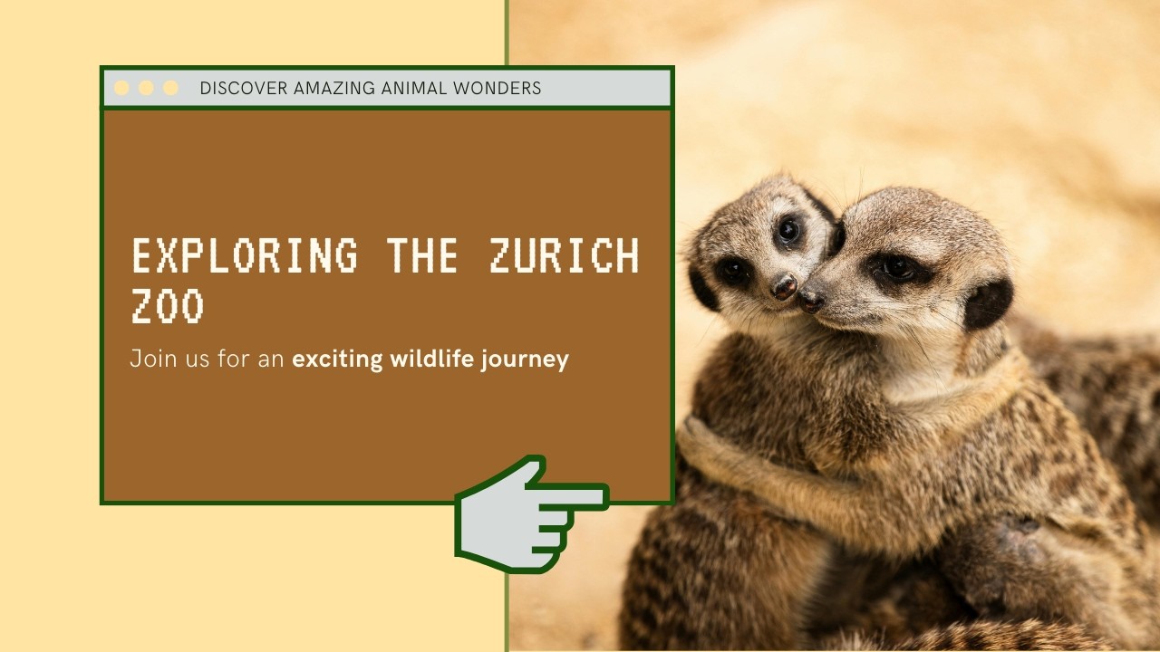 HIGHLIGHTS OF ZURICH ZOO: SWITZERLAND - YouTube