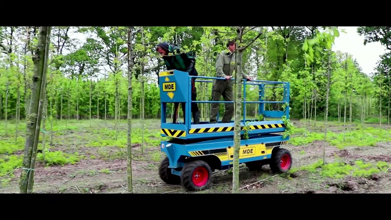 Pruning with MDE pruning platform - YouTube