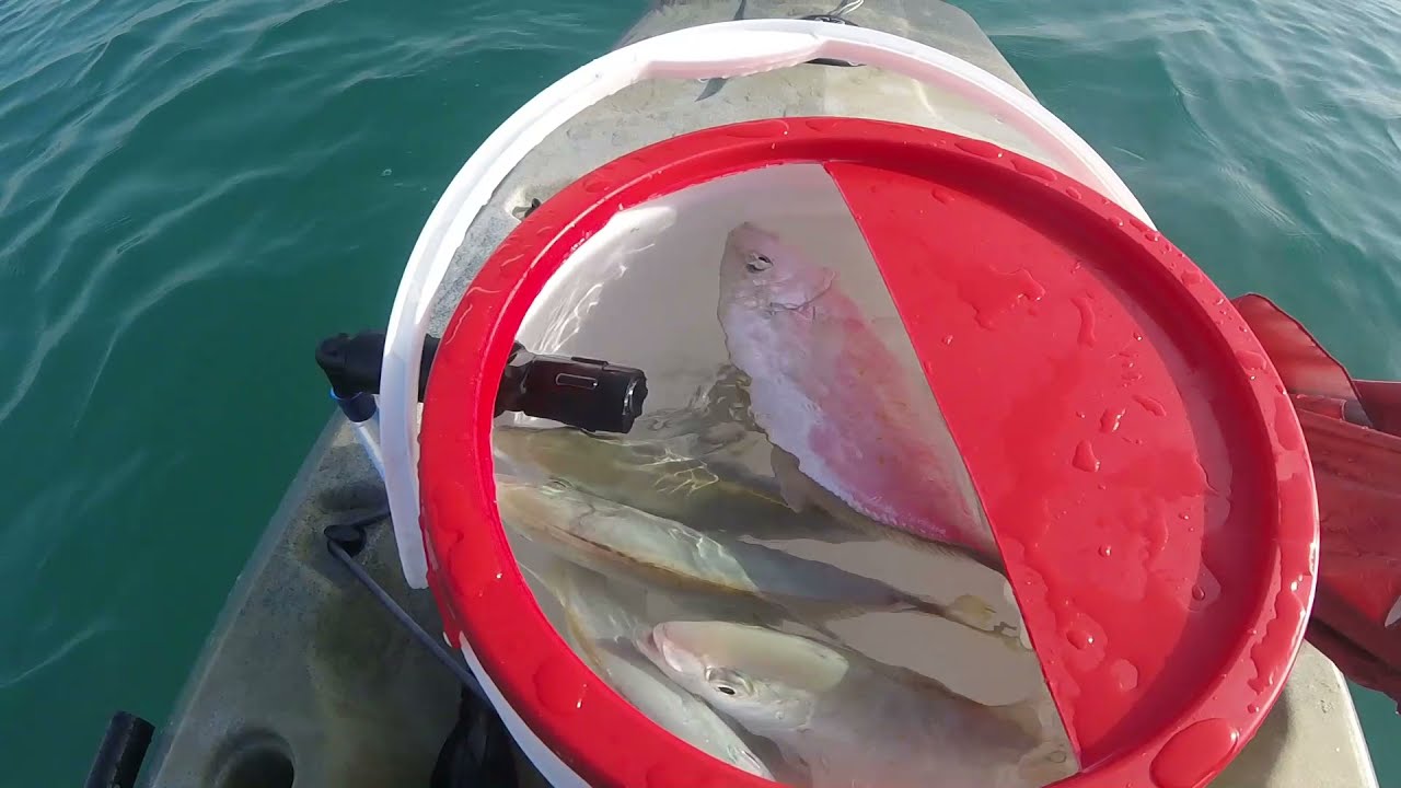 Sharing my DIY Livewell Bucket - YouTube