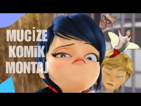 Mucize: Uğur Böceği İle Kara Kedi Komik Montaj #1