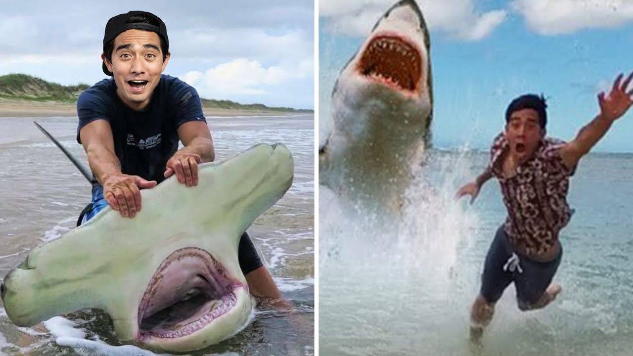 New Zach King magic vines compilation 2022 - Best magic tricks ever ...