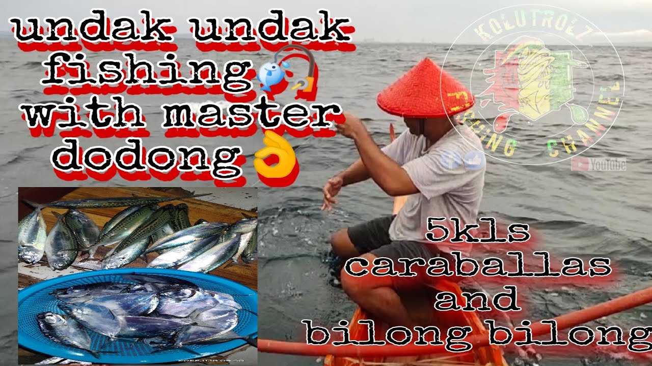 harvest caraballas at bilong bilong. using undak undak fishing style ...