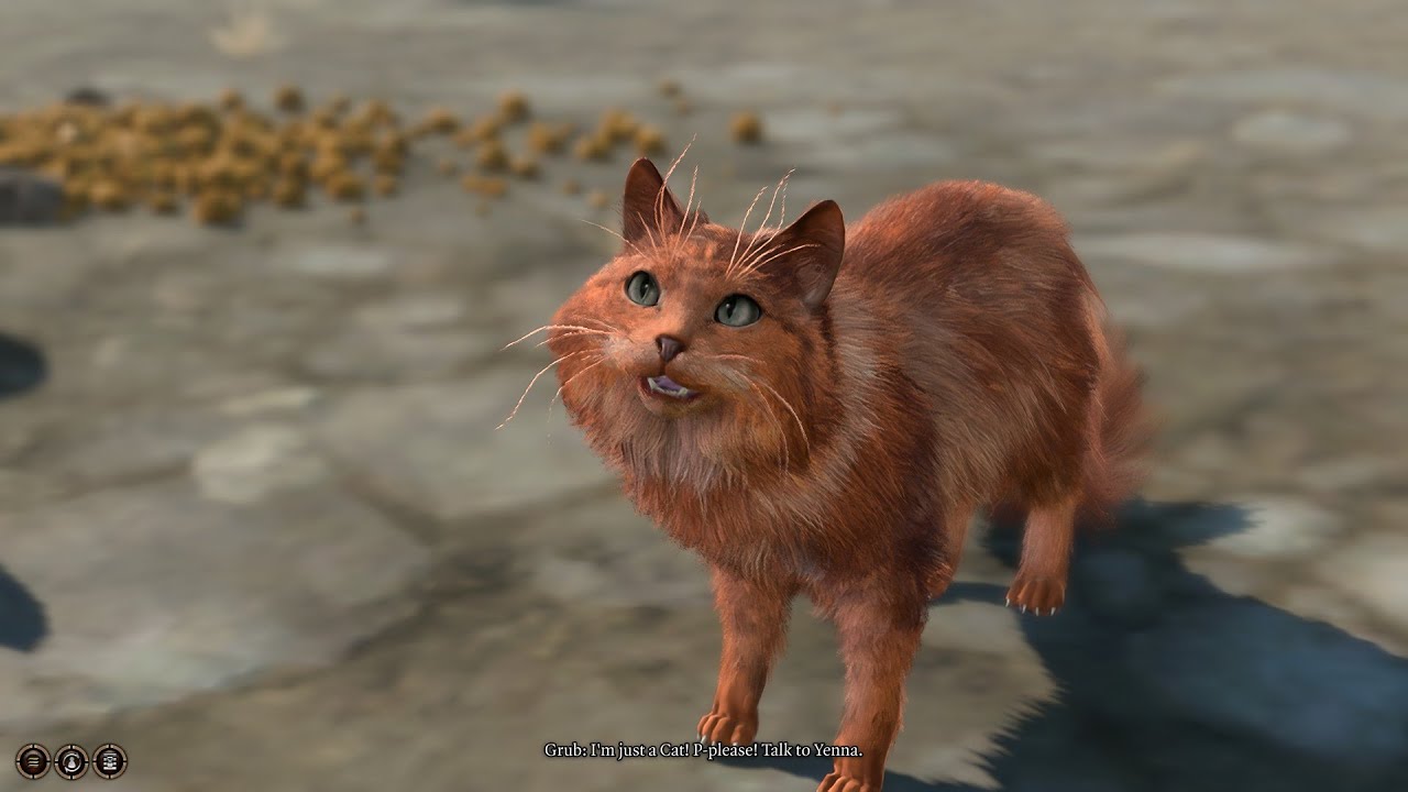 Baldur's Gate 3 - Grub The Cat - YouTube