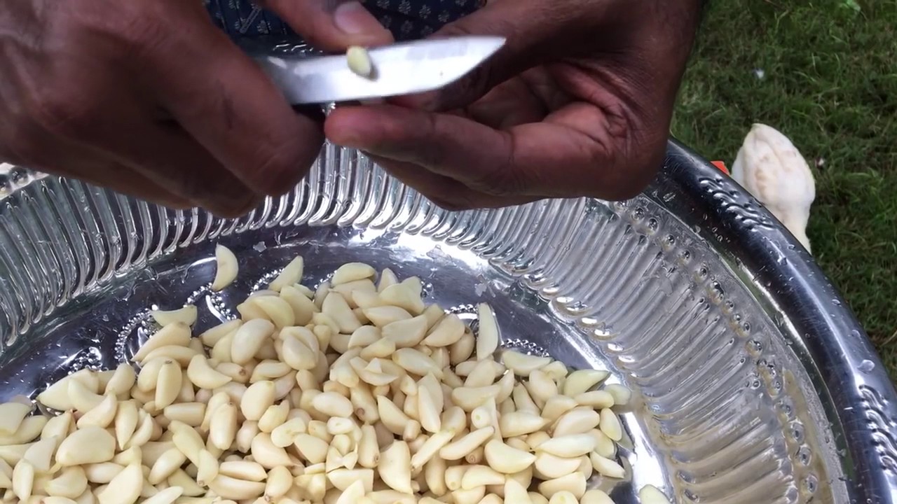 Cooking a 40 Pound Shark in My Village Cooking a Shark in the ...