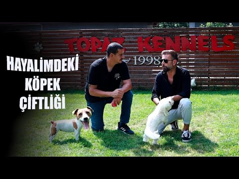 HAYALLERİMDEKİ KÖPEK ÇİFTLİĞİ | TÜRKİYE’DEKİ EN İYİLERDEN TOPAZ KENNEL !
