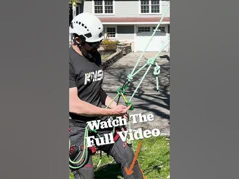 6 Ways to Climb a Tree - DEMONSTRATED - YouTube