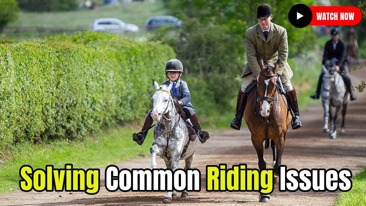 Riding Issues: Troubleshooting Tips for Riders Horse Breeding # ...