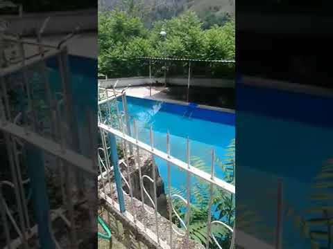 ANGARAGÜÇLÜ SARI BENEKLİ SIRTLAN AYHAN