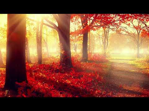 Wael Kfoury - Khedney Layk (slowed) | (وائل كفوري - خدني ليك (بطيء