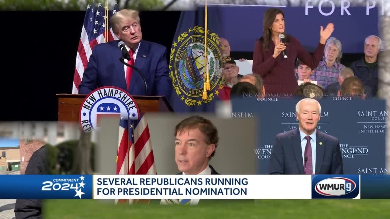 Several Republicans running for presidential nomination - YouTube