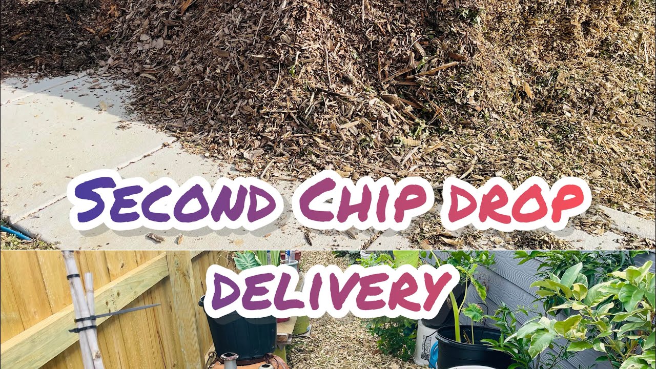 Chip Drop | Free Wood Chips | Season 5 | E78 - YouTube